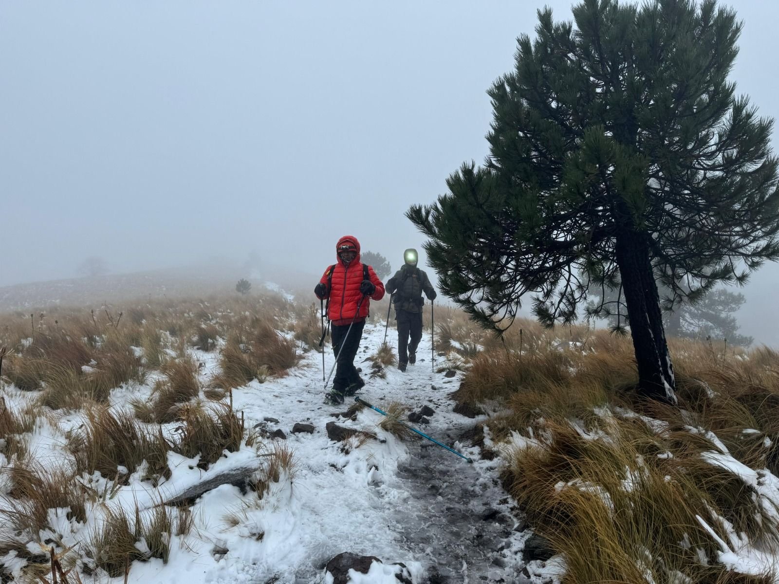Si visitas el Nevado de Toluca, protege el ecosistema: Secretaría del ...